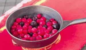 Брусничный соус к мясу – 7 рецептов приготовления с пошаговыми фото